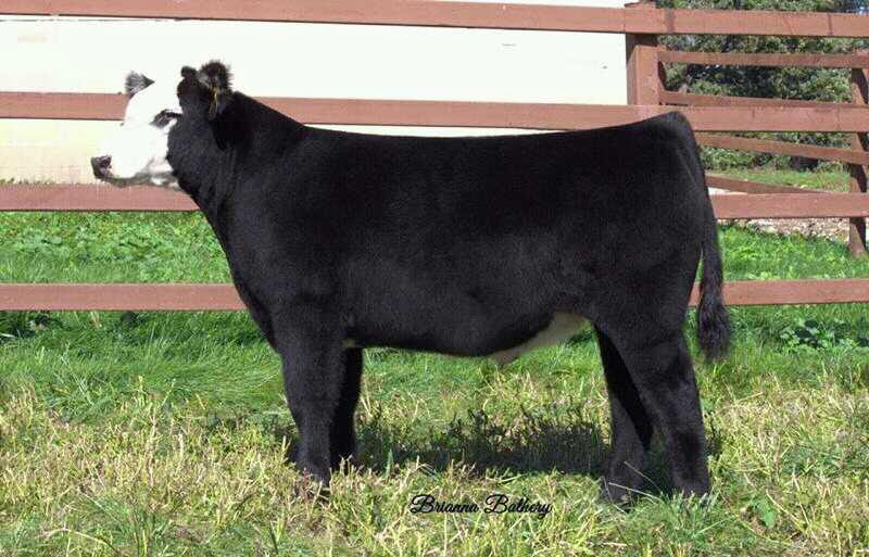 RCC Blog: BIM selling