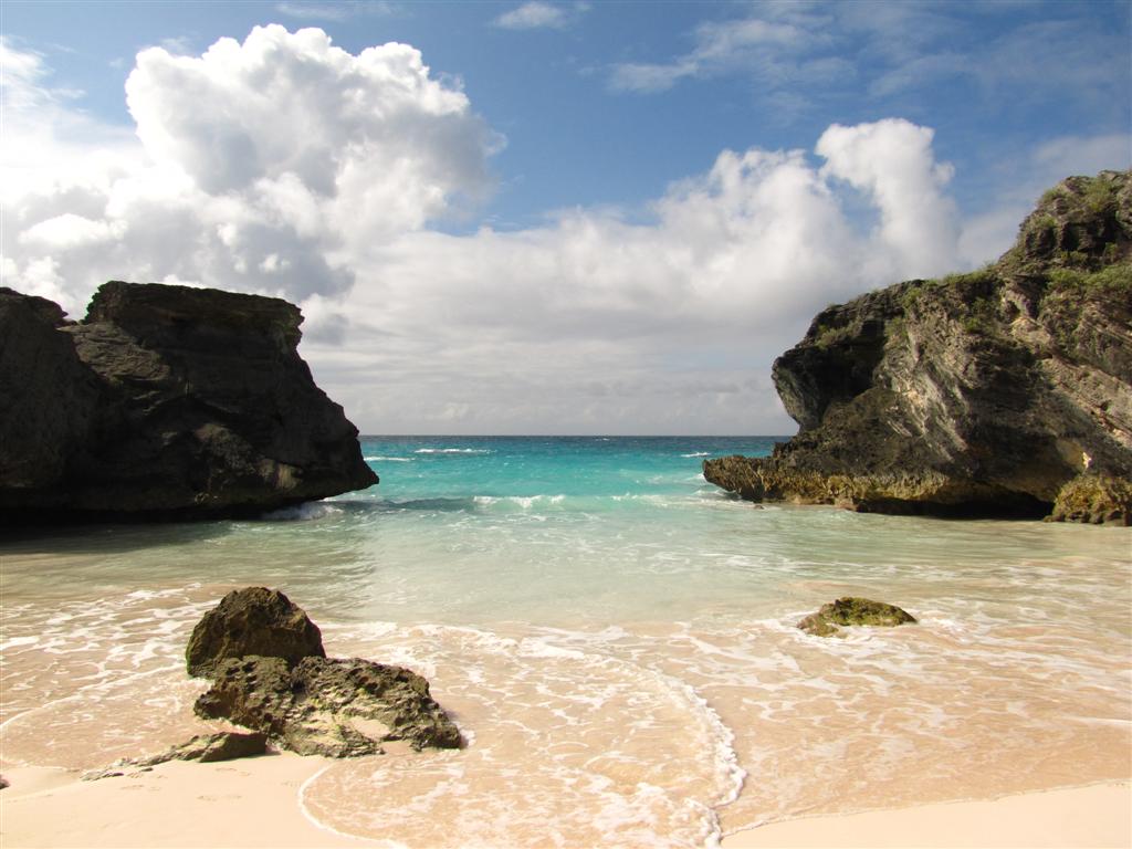 Viewing nature with Eileen: Bermuda birds and scenery