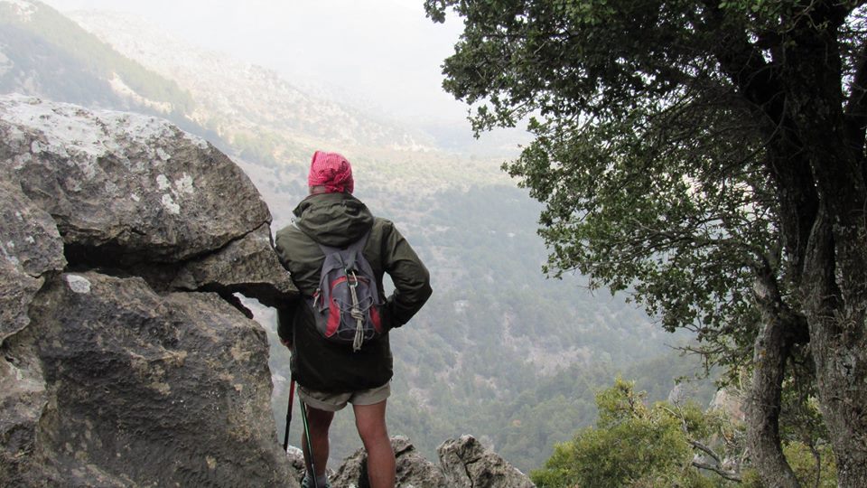 EXPLORE MOUNTAINS: ΣΤΟ ΚΥΠΑΡΙΣΣΟΔΑΣΟΣ ΚΡΙΤΣΑΣ ΓΙΑ ΤΗΝ ΠΑΓΚΟΣΜΙΑ ΗΜΕΡΑ ...