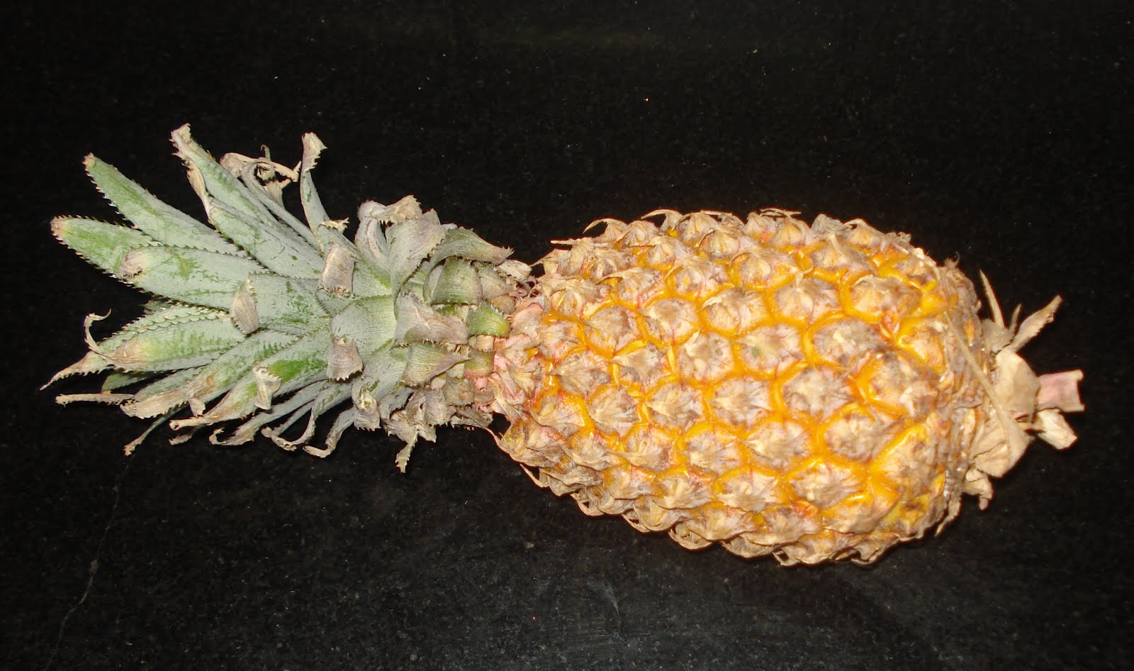 Recipe Collection: Fruits