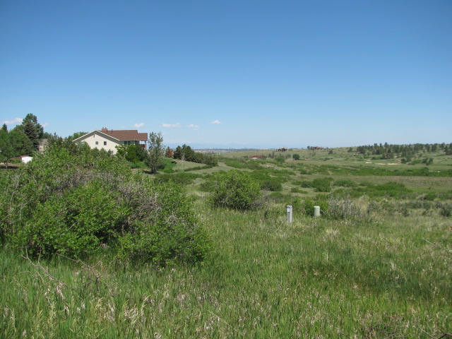 My Wishing Rock: Gardening in open prairie land.......