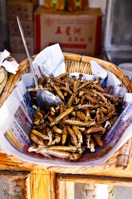 Life on Nanchang Lu: Street Food of Lijiang: Bugs, Bark and Dragonfly ...