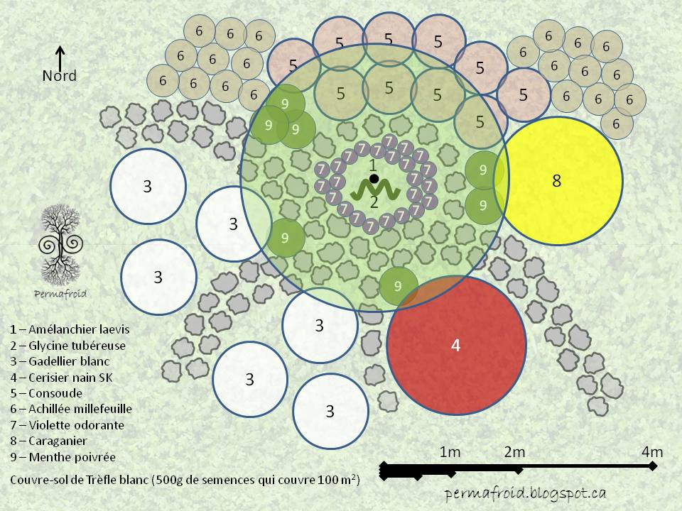 Permaculture, Plant combinations, Creative gardening