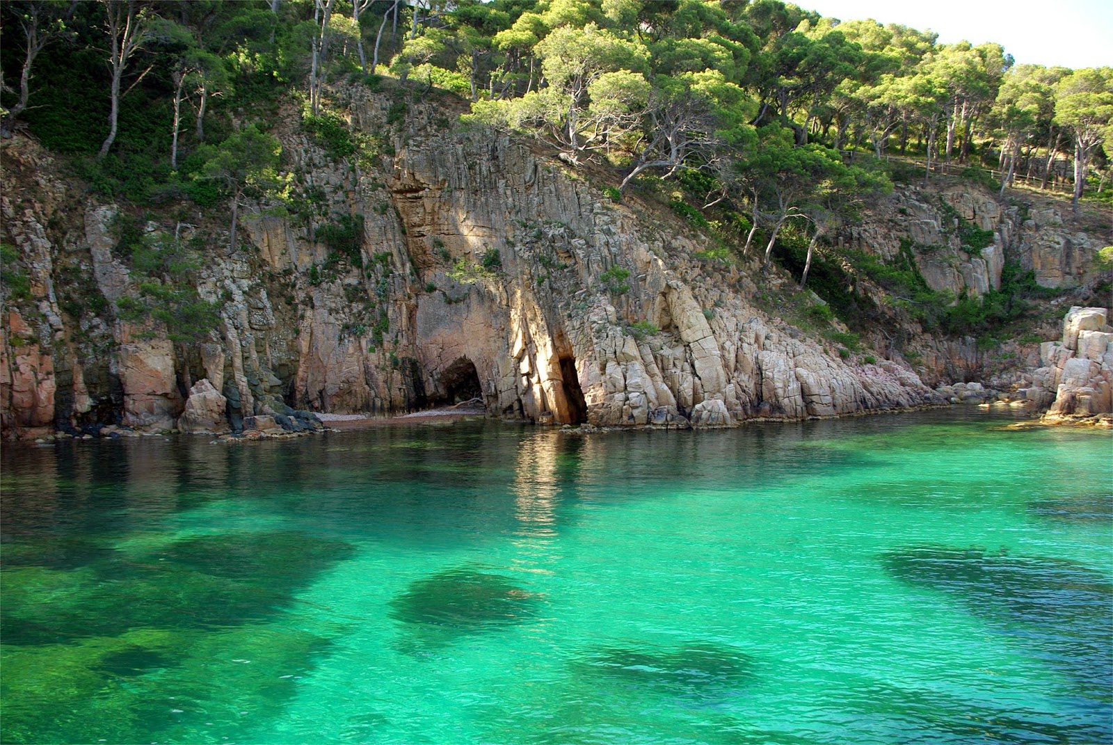 POESIA I EXCURSIONISME: Tamariu, Cala Pedrosa ( La Musclera ), Aigua ...