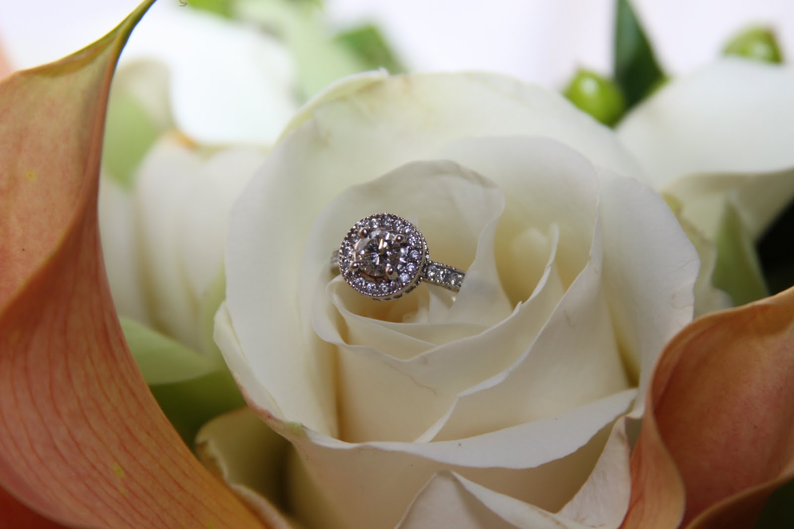 Becky Kusek Photography