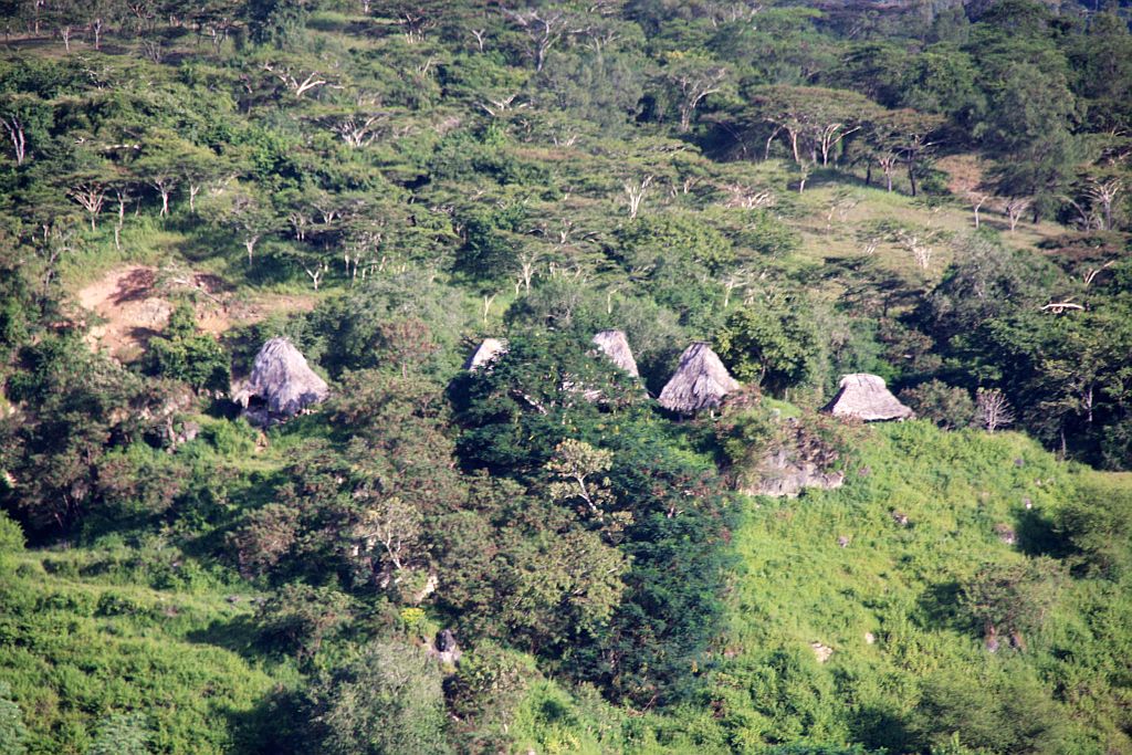 O Livro das Contradisoens: Dili - Baucau - Laga - Baucau