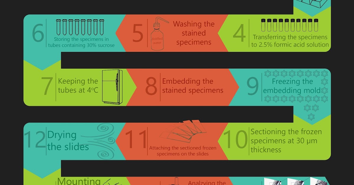 Python Indonesia - Beyond Excel: Measuring the dimension of an object using OpenCV and Python ...