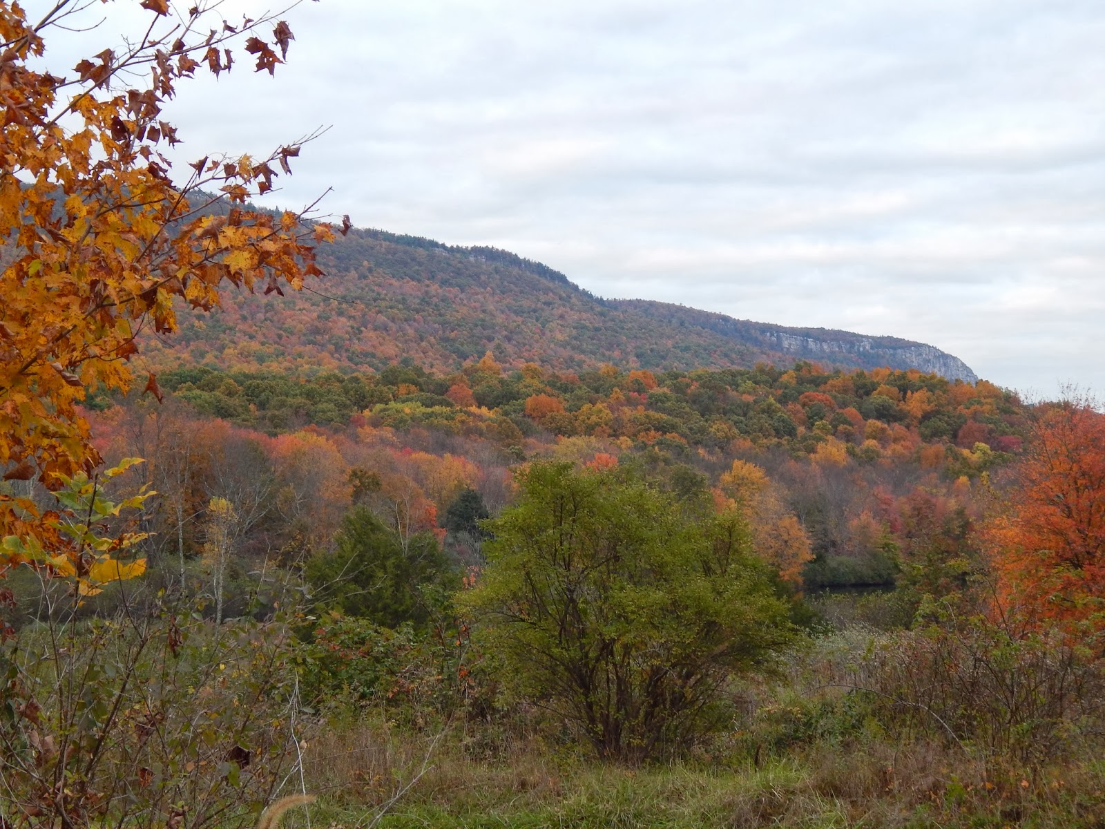 The Lake House Project: Fall and Sheetrock at the Lake House