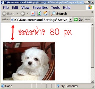 การสร้างเว็บไซต์ด้วย HTML,สอนภาษา HTML: การใส่รูปภาพ