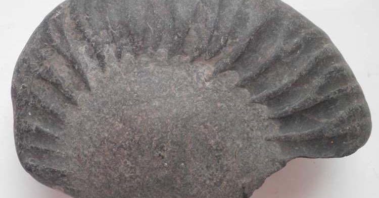 Guru Raghavendra Swamy