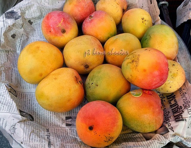 Sesawang Maya WarnaSari (ส่าหรีสี) : Mempelam Datang Lagi