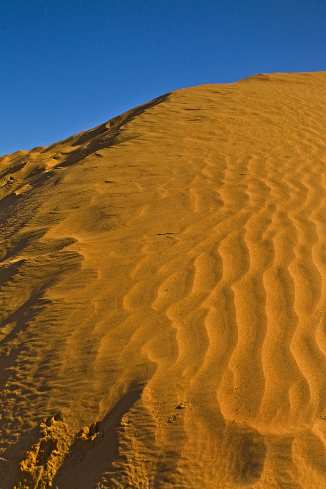 BigRedBusTouringCo.com: Moorook to Perry Sand Dunes