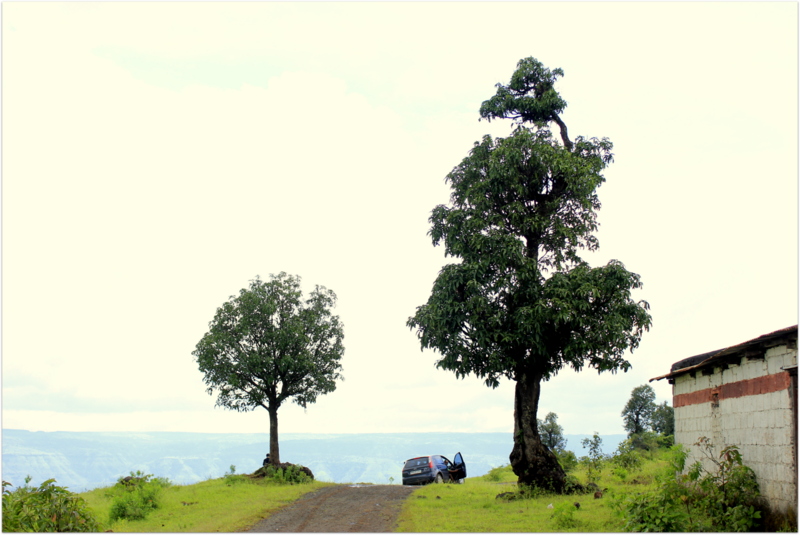 Travel notes: Kaas Plateau - Surreal