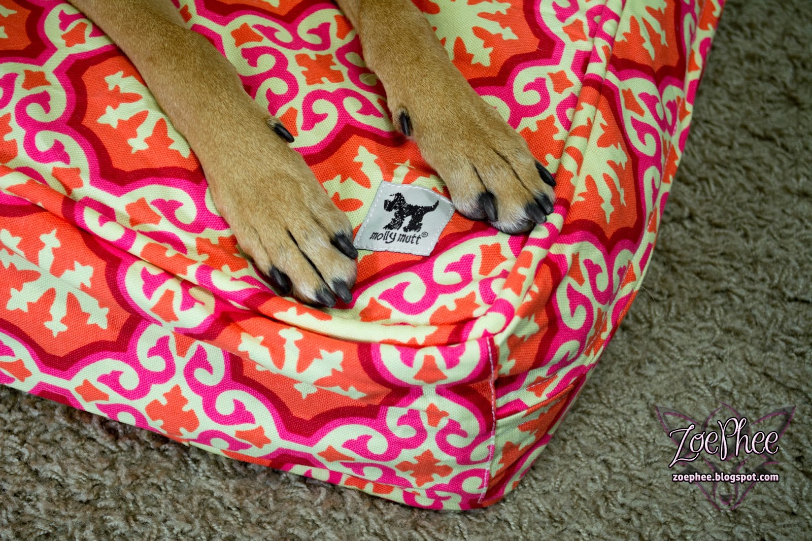 ZoePhee: Comfy & Stylish Dog Beds from Molly Mutt! Review