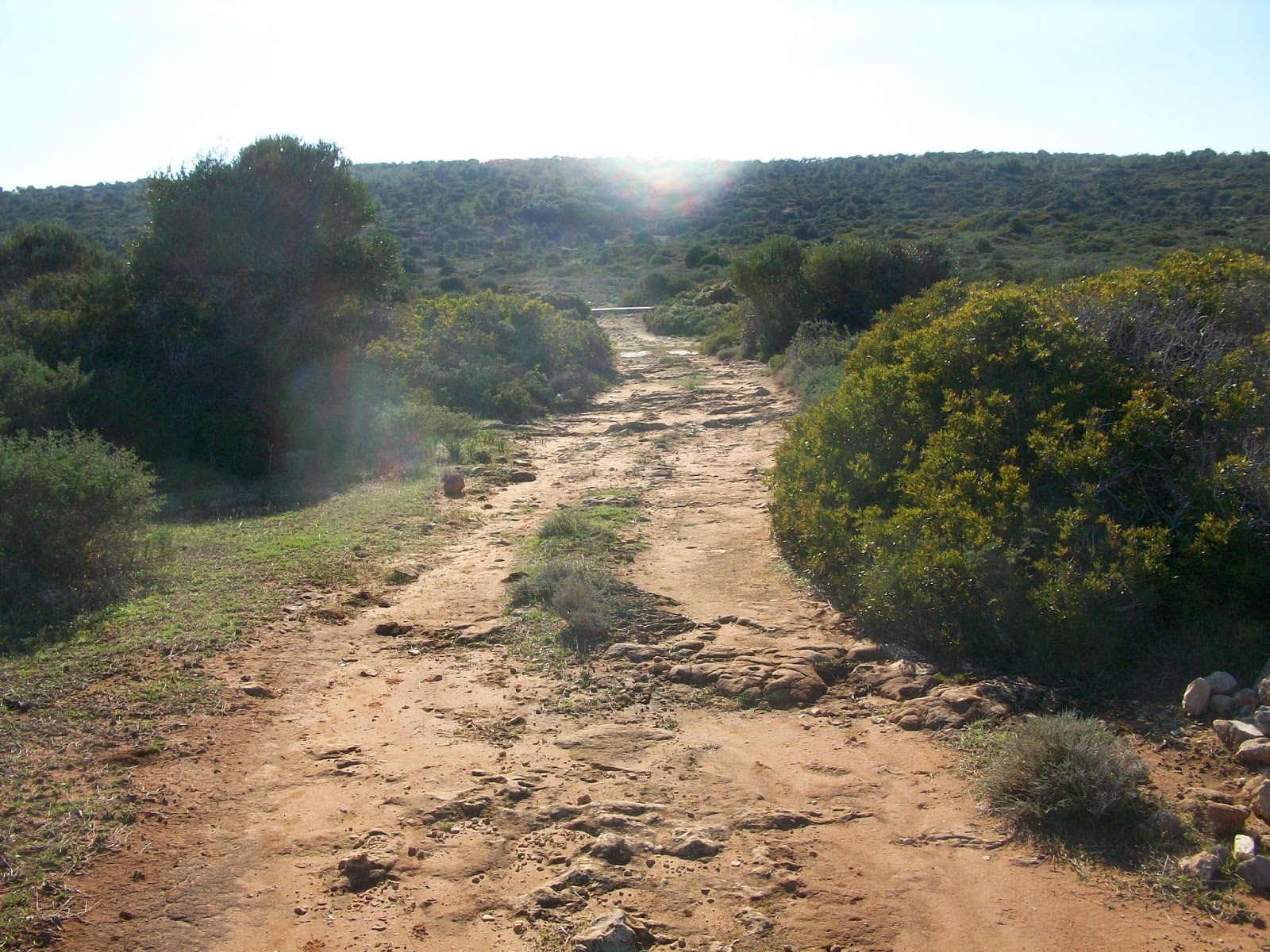 Gölge Gezgin: Cyprus Hiking 04 : Koruçam - Kayalar - Sadrazamköy