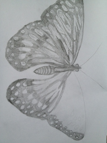 Laura Davis' Textiles