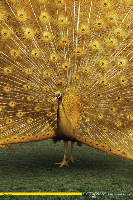 WHAT AN IDEA CAN DO: PICTIONARY - NEW INDIA SPECIAL EDITION - PRINT ...