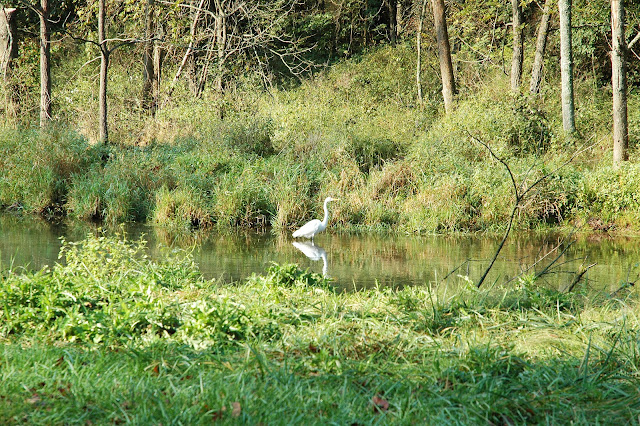 My World in Pennsylvania and Beyond: Newville, PA - Big Spring Creek
