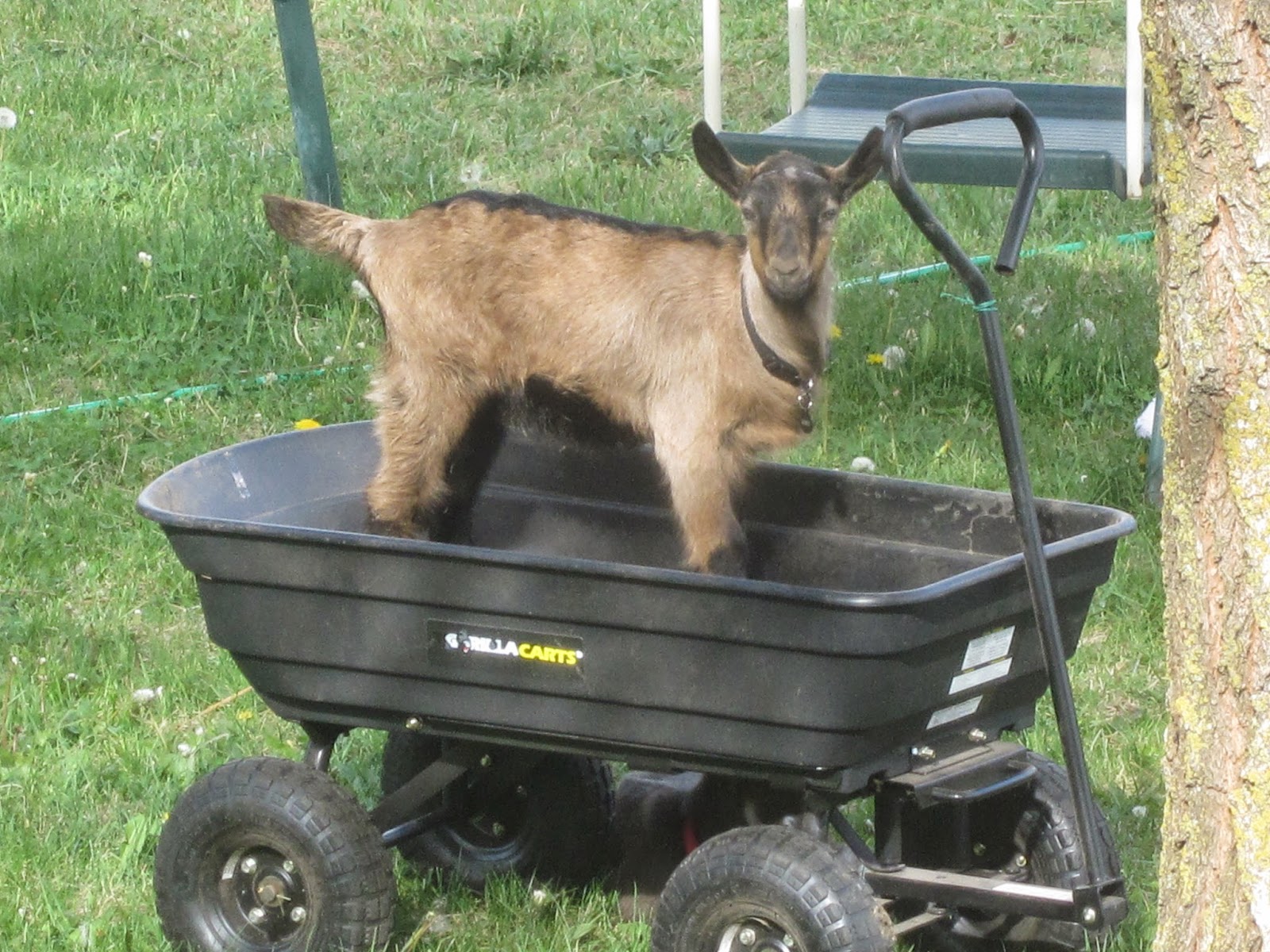 Those Parker People: The babies are coming, the babies are coming!