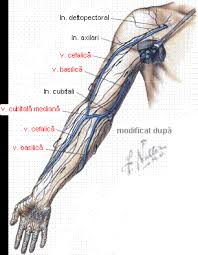 AMG: TEHNICI DE NURSING SI INVESTIGATII , PUNCTIA VENOASA