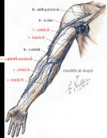 AMG: TEHNICI DE NURSING SI INVESTIGATII , PUNCTIA VENOASA