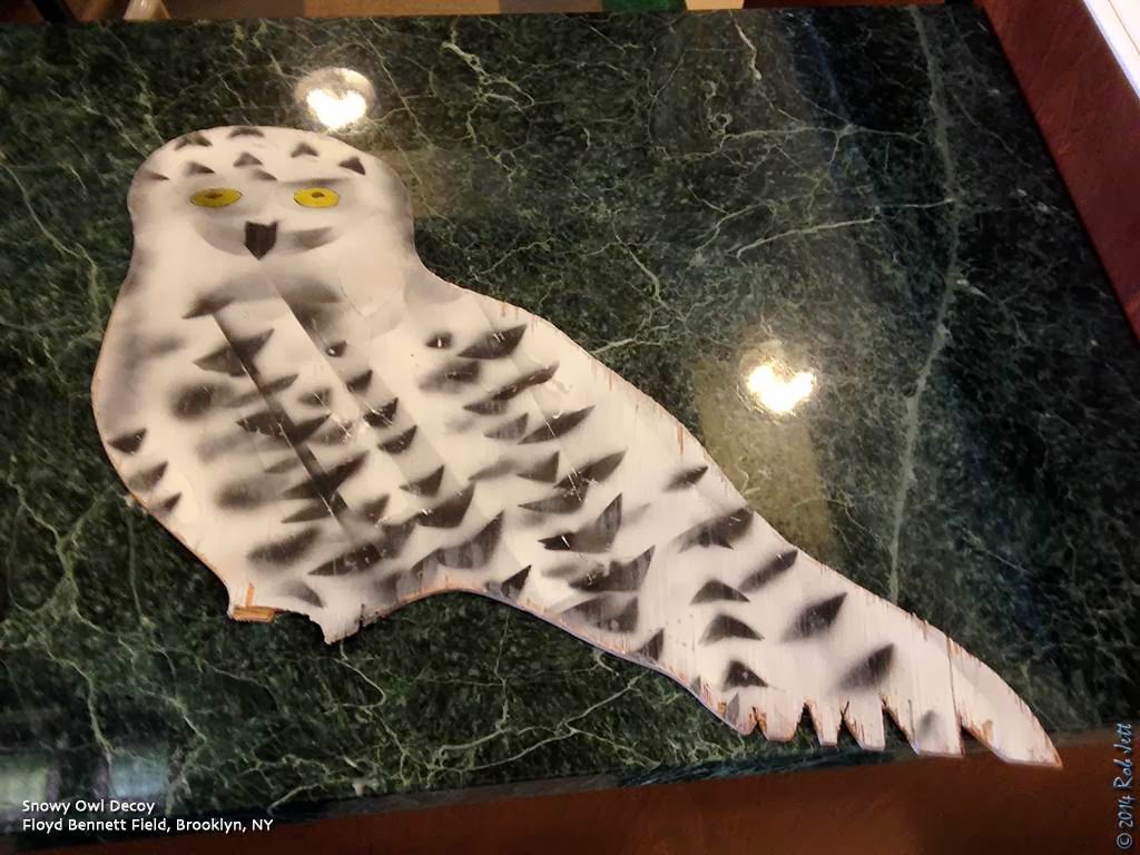 The City Birder: 02/01/2014 - 03/01/2014