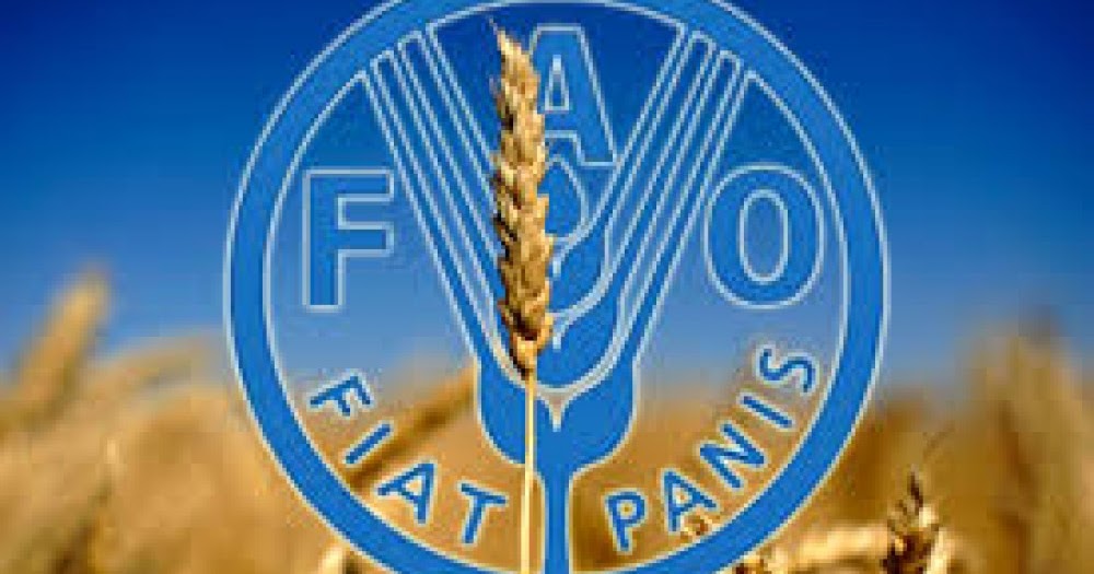 FAO: Η απώλεια της βιοποικιλότητας απειλεί σοβαρά την ανθρώπινη ...