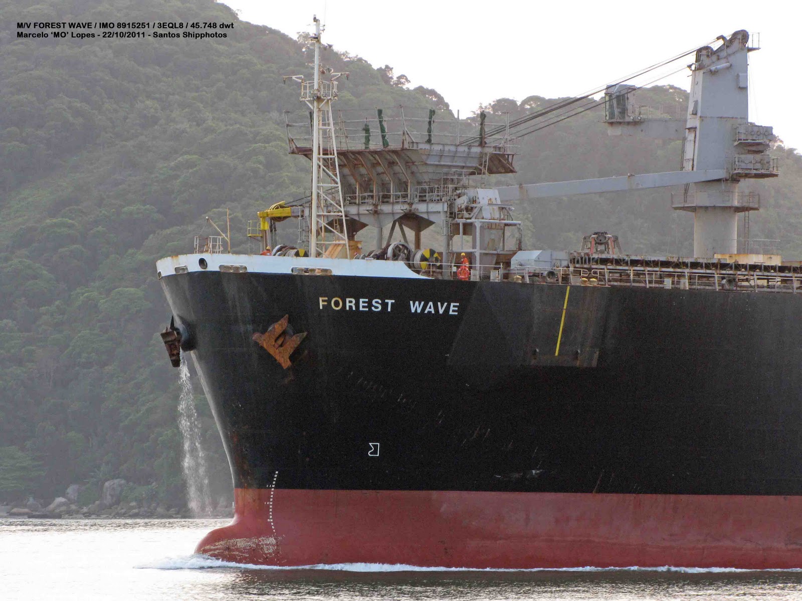 Santos Shiplovers: M/V Forest Wave / 3EQL8 - Um Wood Chip Carrier