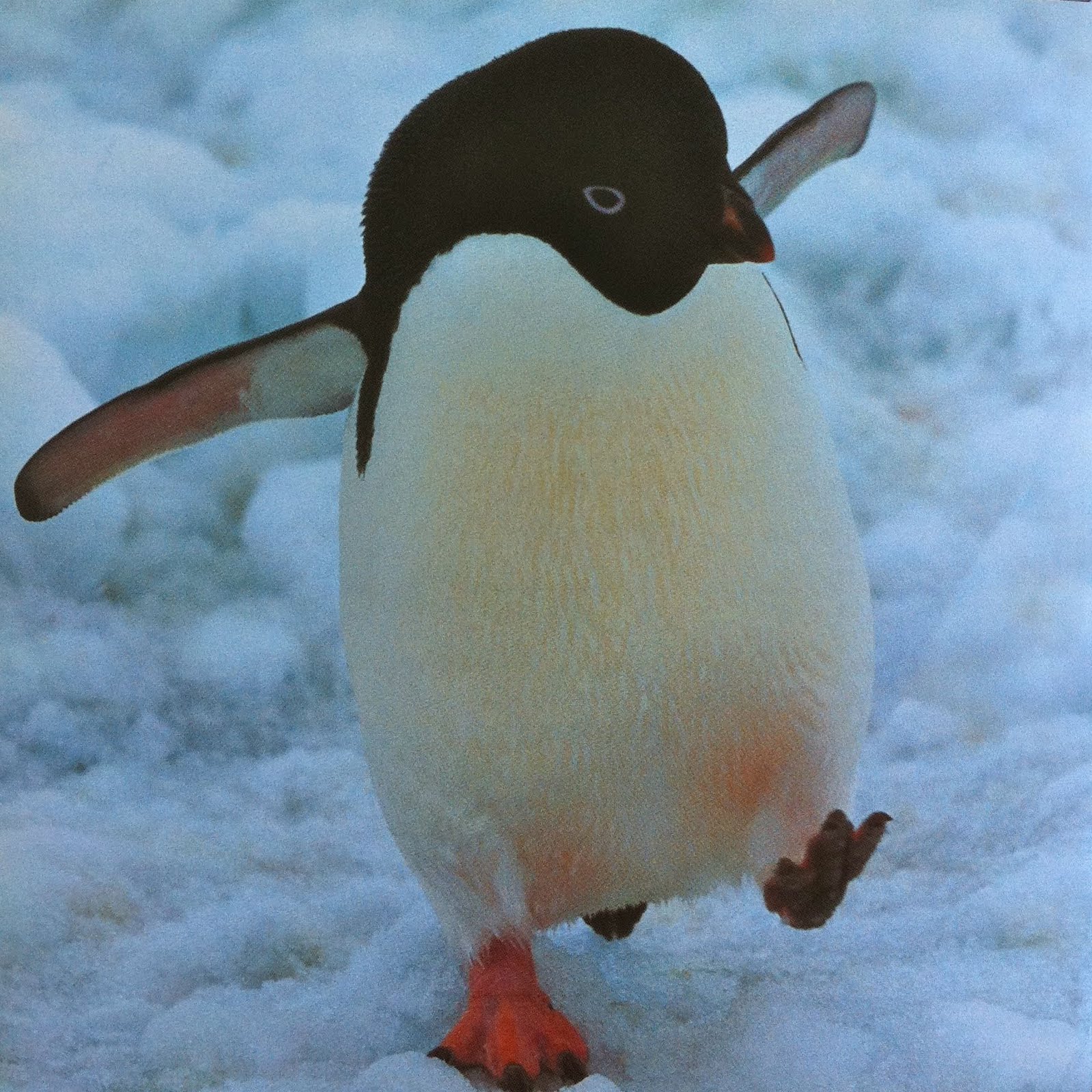 Documenta minima: QUÉ DEMASIADO, David Baird (editor)