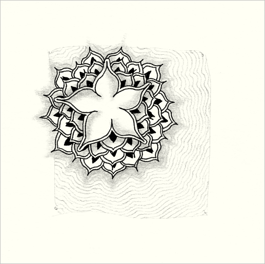 Time for Tangling: Official Zentangle® Patterns - Cyme, Dex & Frondous