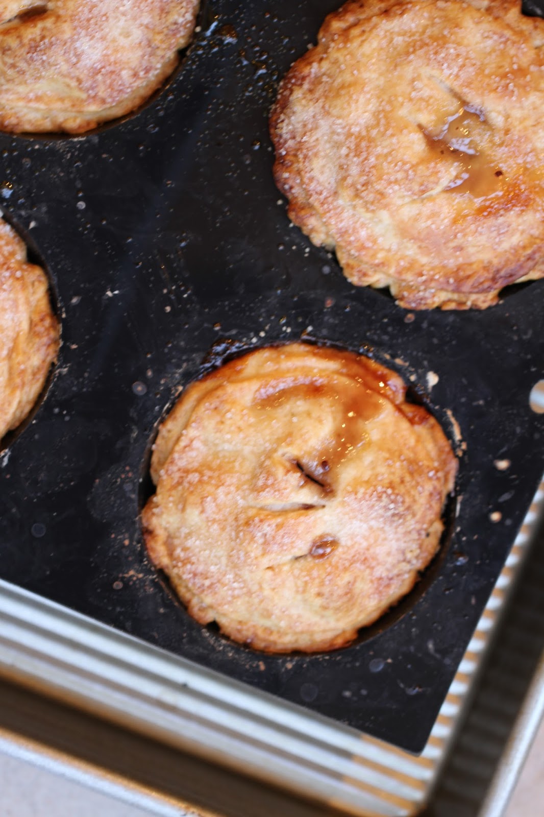 Apple Pielettes - Ever Open Sauce