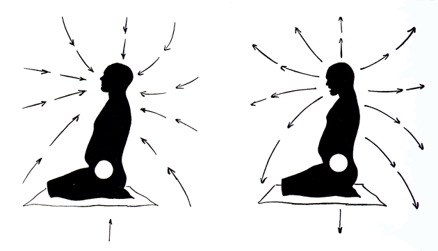 The Hara Dimension: Hara Line energy centres - page 4