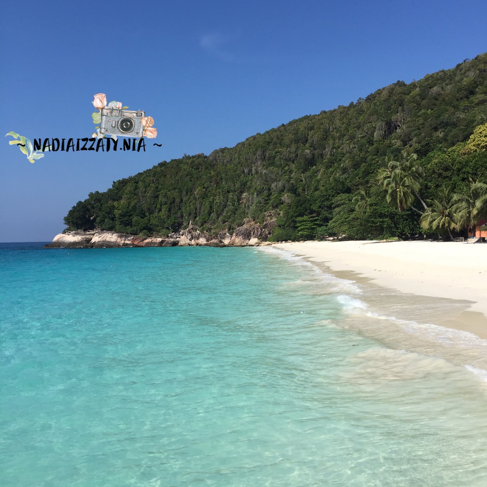 WHERE TO STAY IN PULAU REDANG , TERENGGANU , MALAYSIA? - REDANG MUTIARA ...