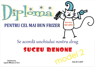 Calendare Personalizate: Diplome haioase