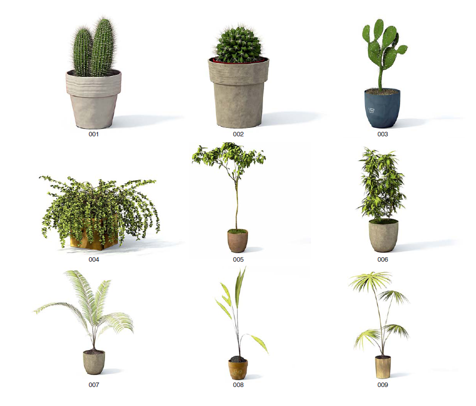 Download GRATIS kumpulan tanaman 3ds Max untuk Desain Interior - Kursus ...