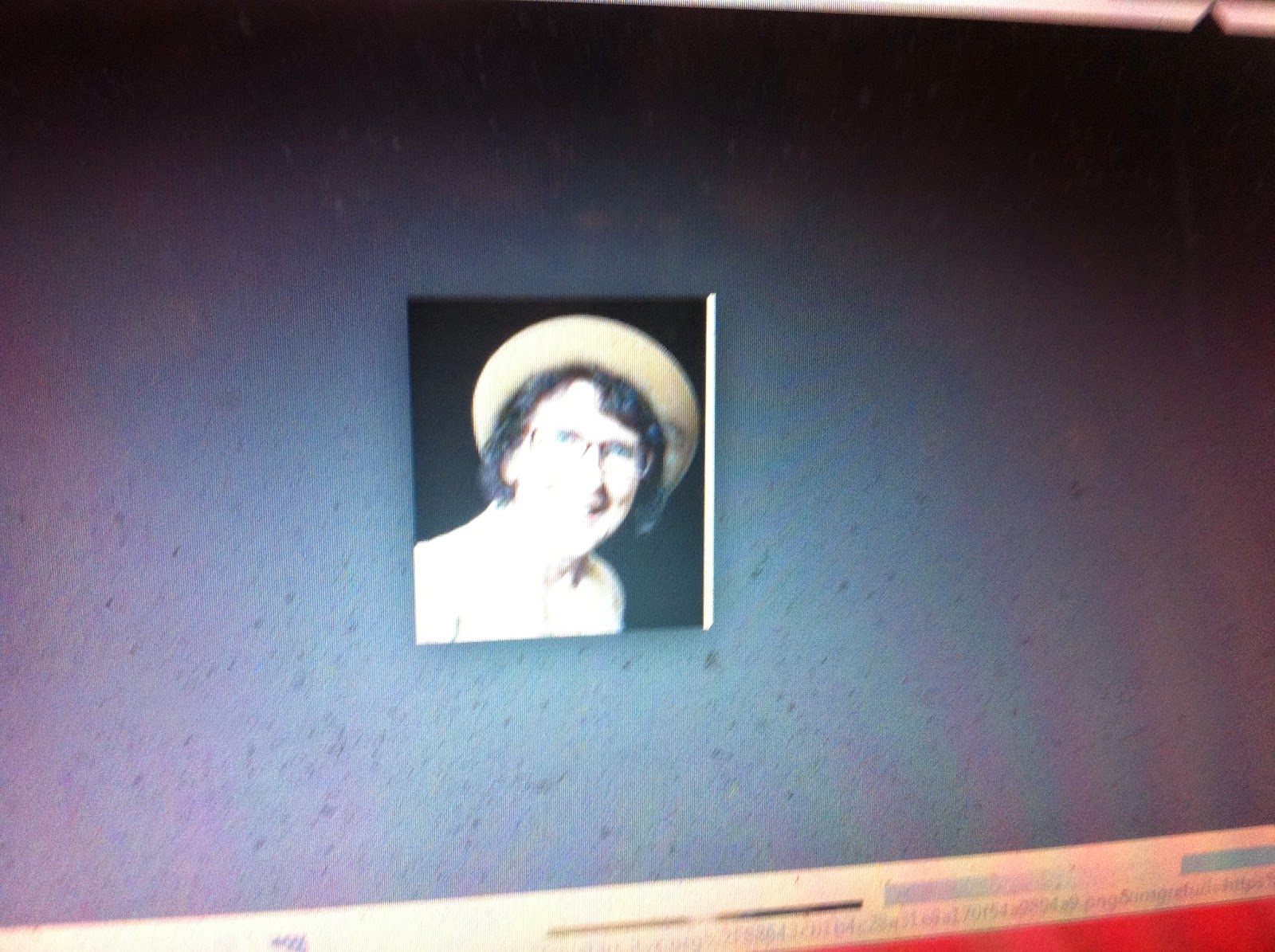 THE BLACK SOCIAL HISTORY:: BLACK SOCIAL HISTORY : AMERICAN " CAROL RUTH ...