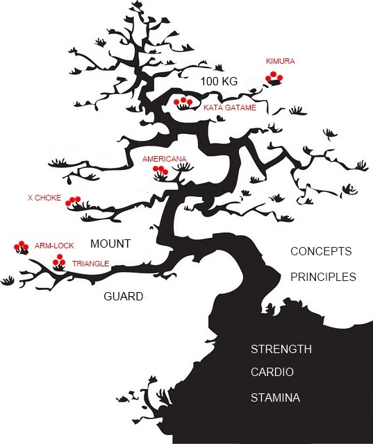 BJJ - My Journey: Found some great BJJ flow chart / BJJ Flow Diagrams
