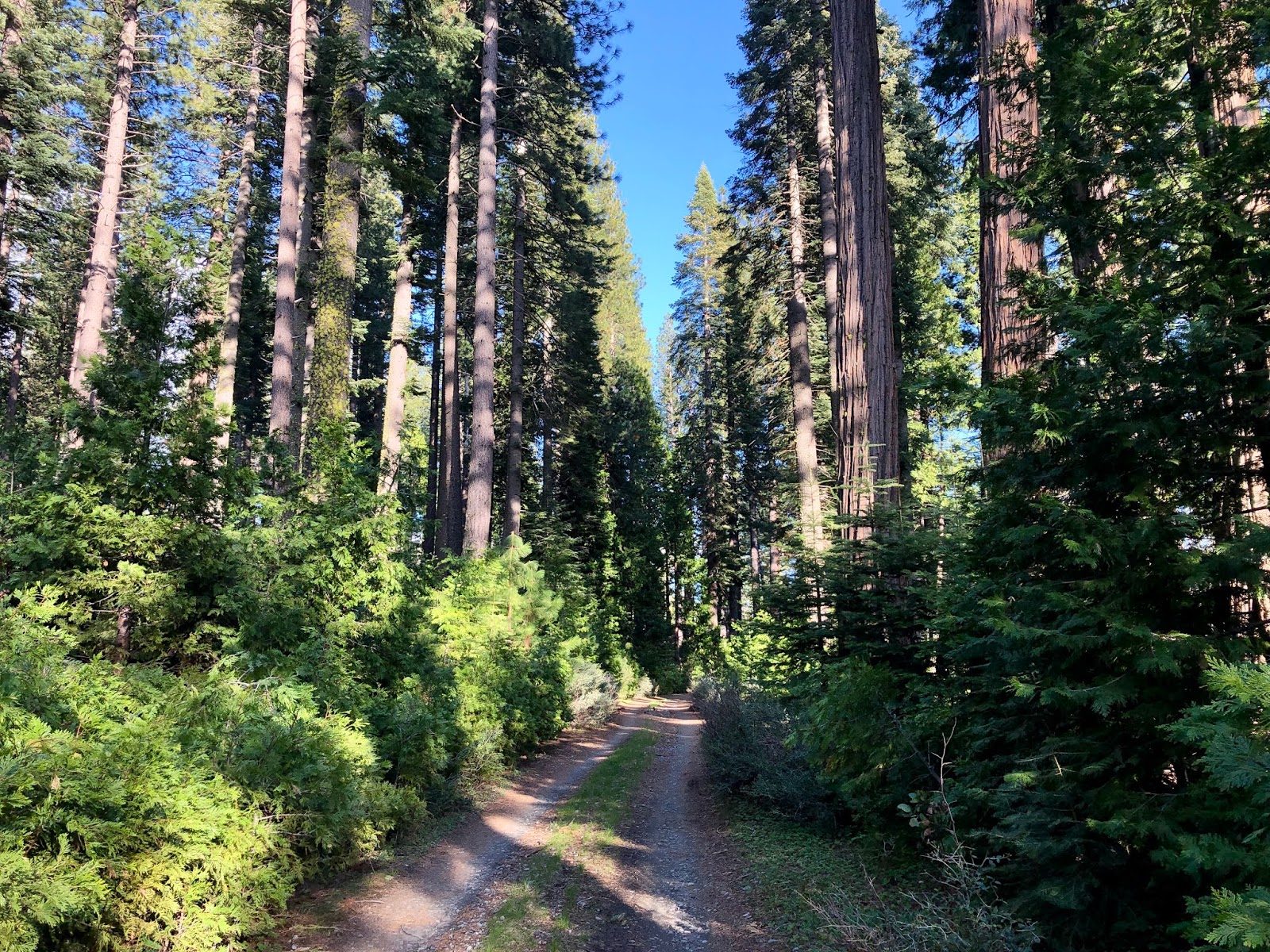 Crystal Basin Boondocking - Memorial Day 2020