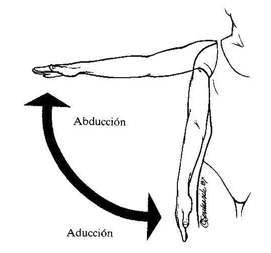 RADIOLOGIA e IMAGEN CETIS 76: Movimientos del cuerpo