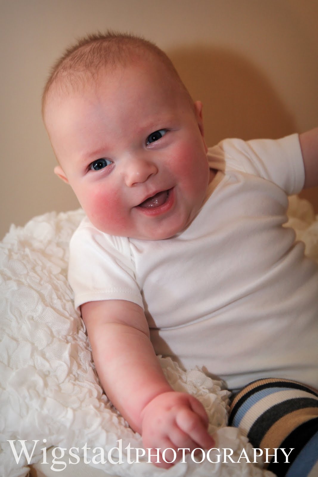 Wigstadt Photography: 2011