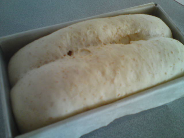 Cooking Pleasure: Honey Milk Loaf [straight dough method]