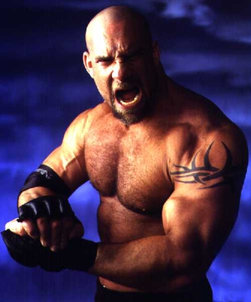 Image Gallary 9: WWE Champion Bill Goldberg pics and wallpapers