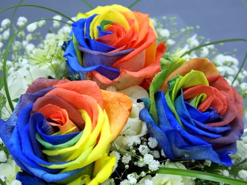 A flor mais rara do mundo