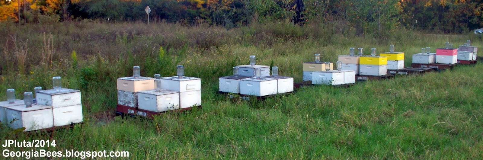 BEEKEEPING Beekeeper Honey Bees Pollen Wax Candle Propolis Queen Nuc ...