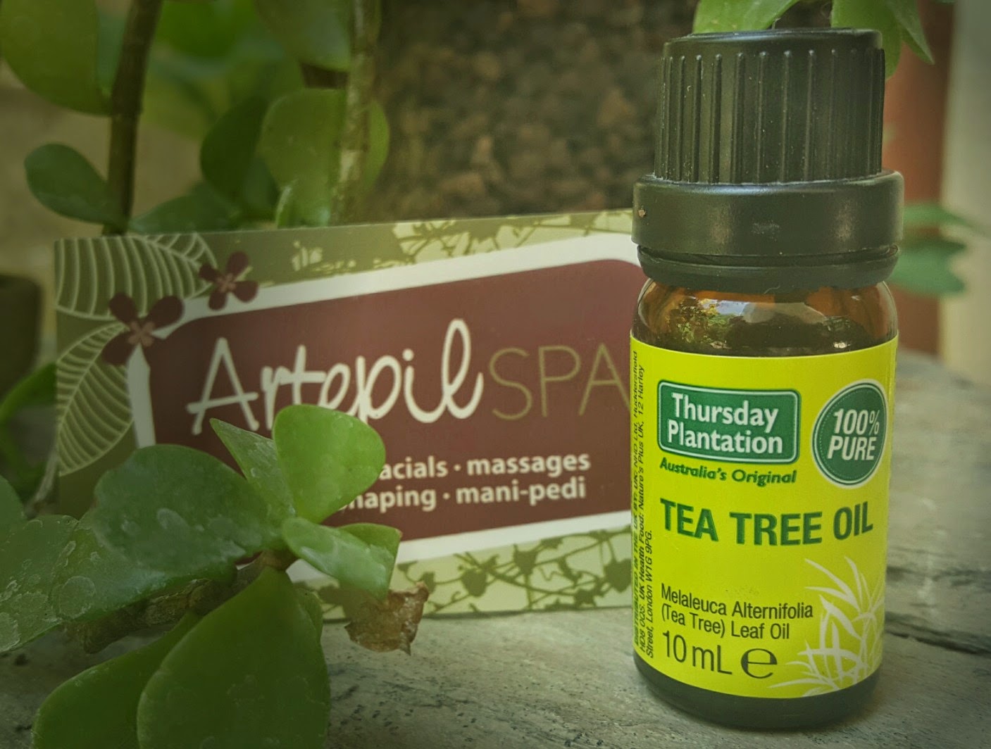 Artepil Spa: Tea Tree (Aceite de Té de Árbol) y sus Excelentes Propiedades