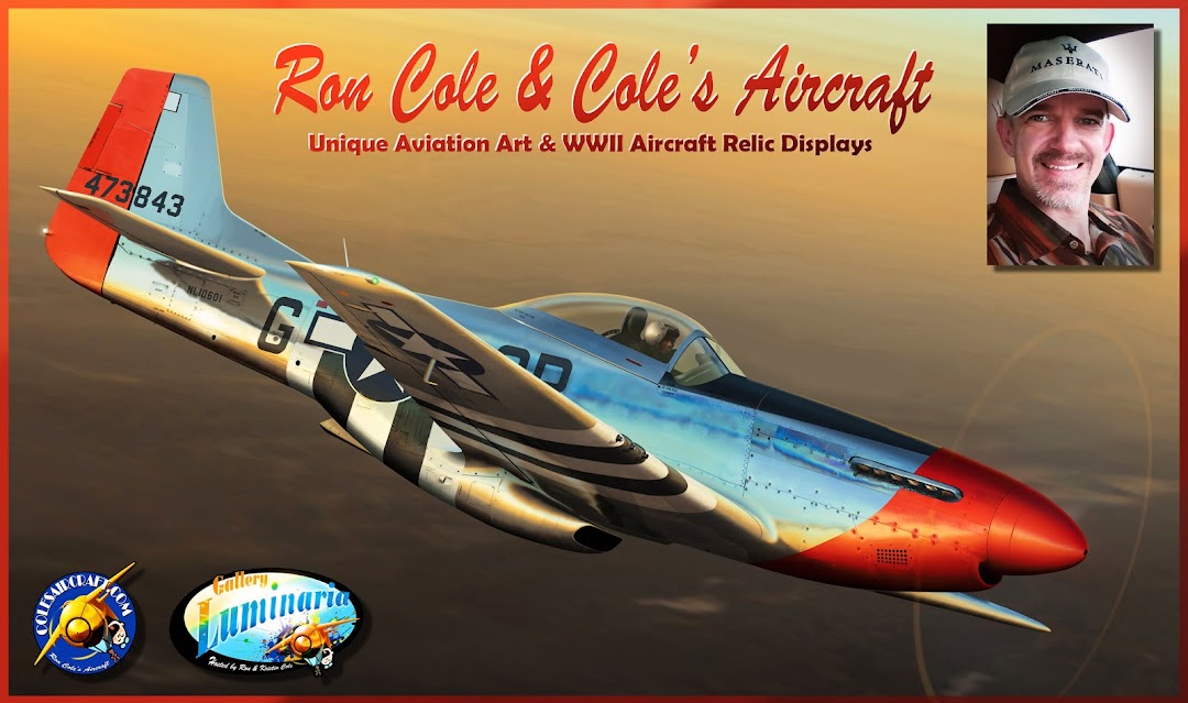 Aviation Art of Ron Cole & Cole's Aircraft: Ron Cole's Warbird Relic ...