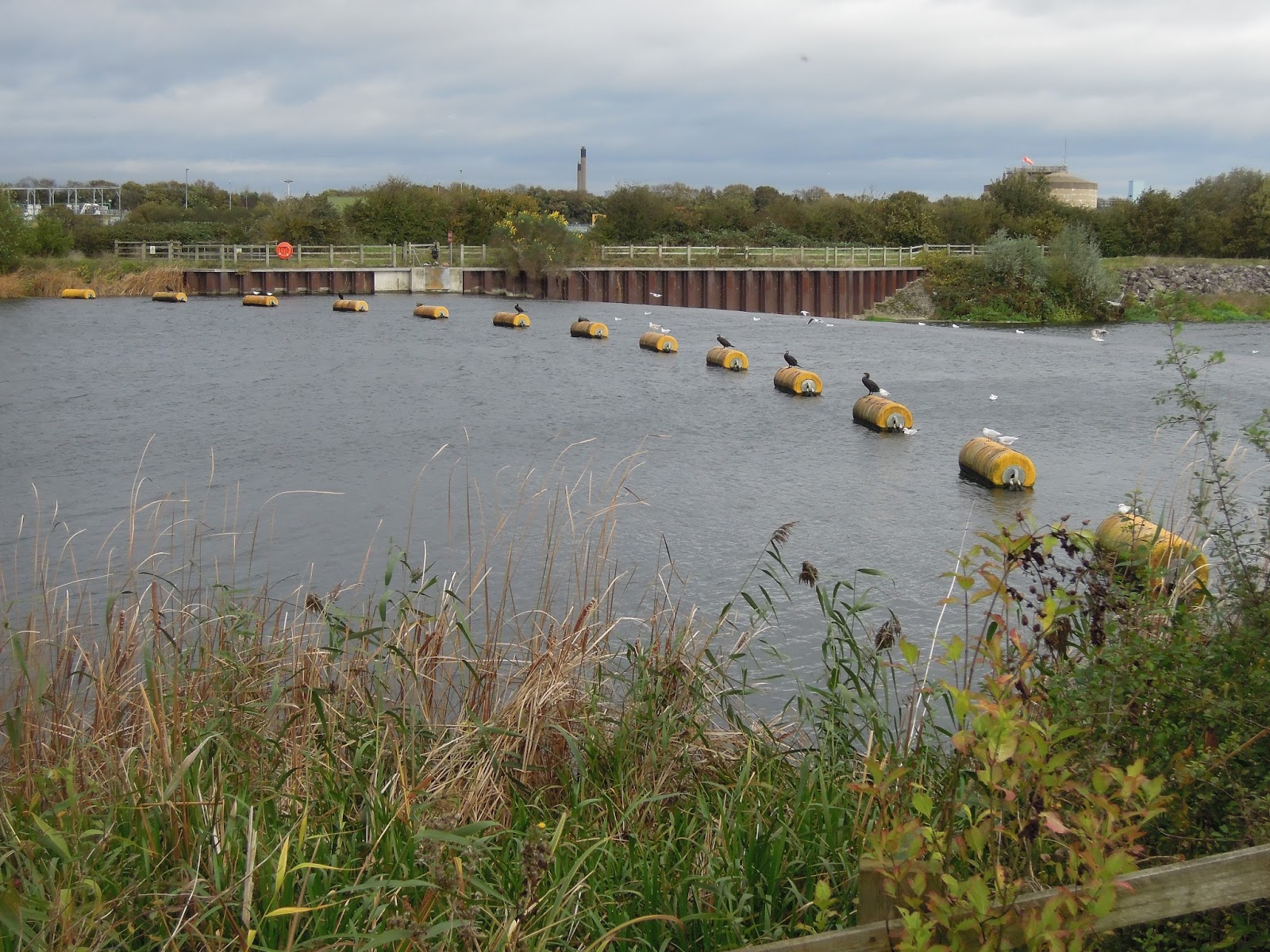 Playing fields: Eton, Dorney Rowing Lake and the Jubilee River