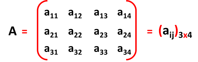 MATRICES: Determina y clasifica matrices según sus características ...