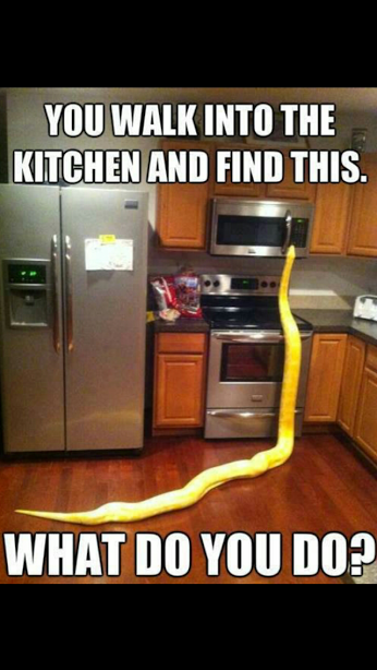 What do you do ~ Extra Funny Picture