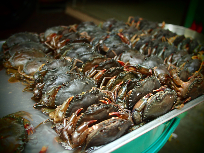 Crab Export Business - Mud Crab Exporters, Mud Crab Manufacturers, Mud ...